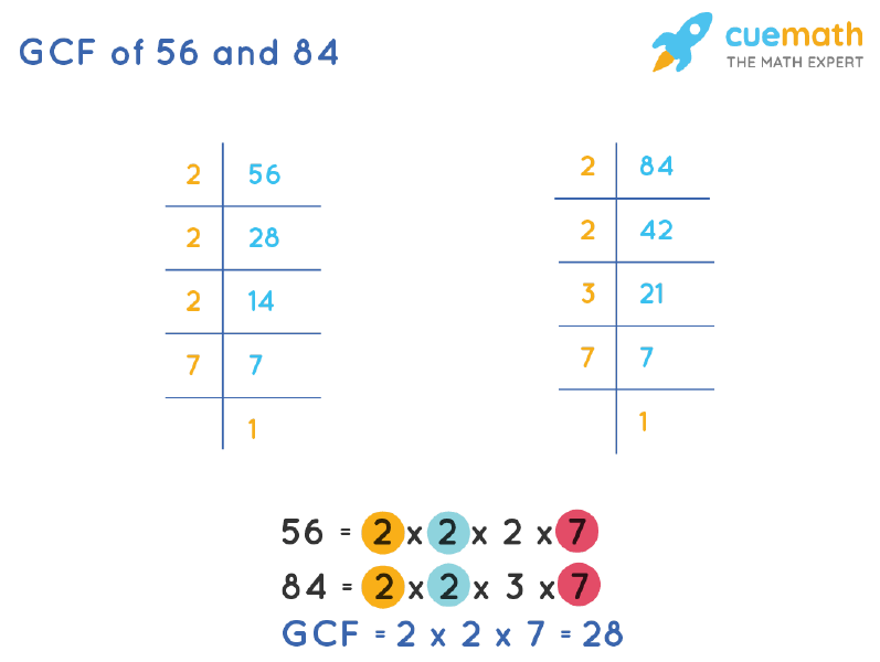 GCF Of 56 And 84 How To Find GCF Of 56 84 